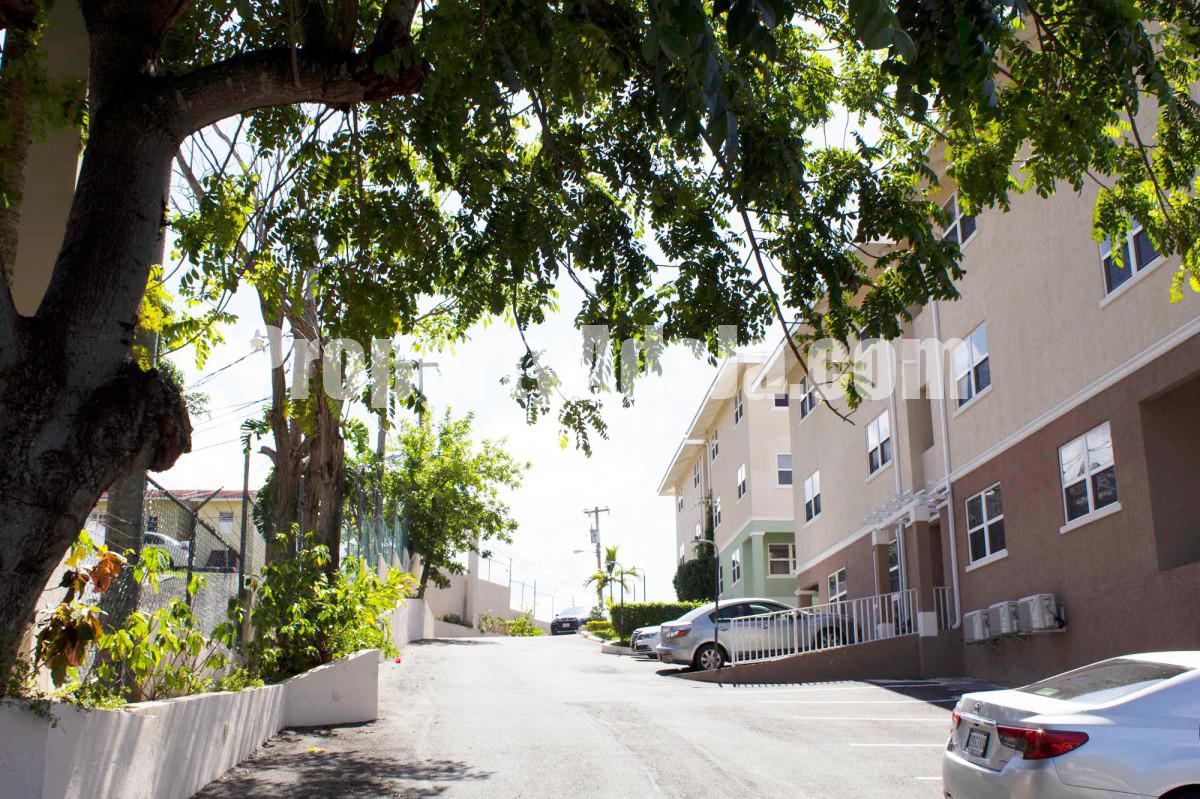 Apartment For Rent in The Valhalla Graham Heights, Kingston / St ...
