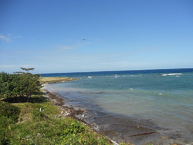 Residential lot For Sale in Hopewell, Hanover Jamaica | PropertyAdsJa.com