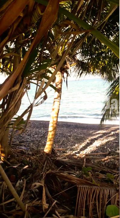 House For Rent in Hope Bay Beach, Portland Jamaica | PropertyAdsJa.com