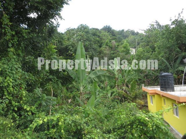 Residential lot For Sale in Browns Town, St. Ann Jamaica | PropertyAdsJa.com