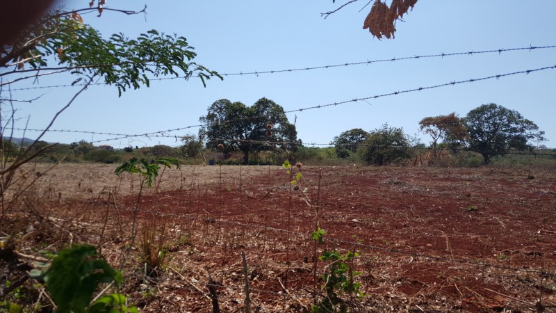 Commercial/farm land For Sale in Pedro Plains, St. Elizabeth Jamaica ...