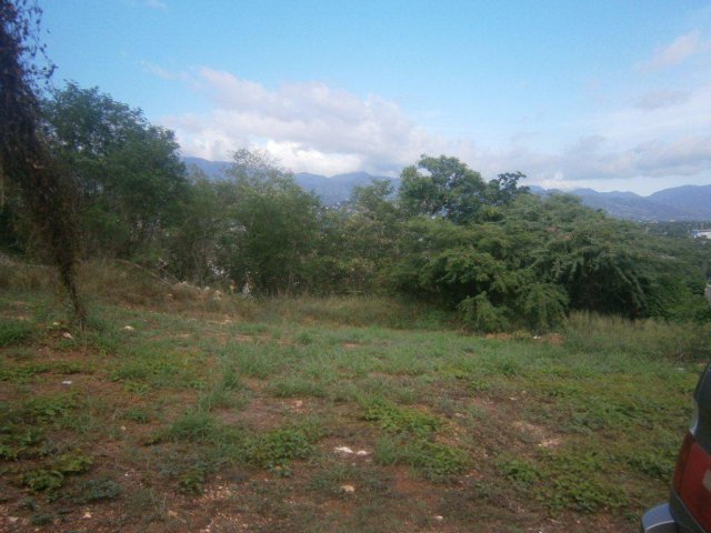 Commercial/farm land For Sale in MAY PEN SQUARE, Clarendon Jamaica ...