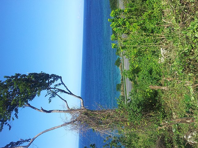 Residential lot For Sale in Hopewell Hanover, Hanover Jamaica ...