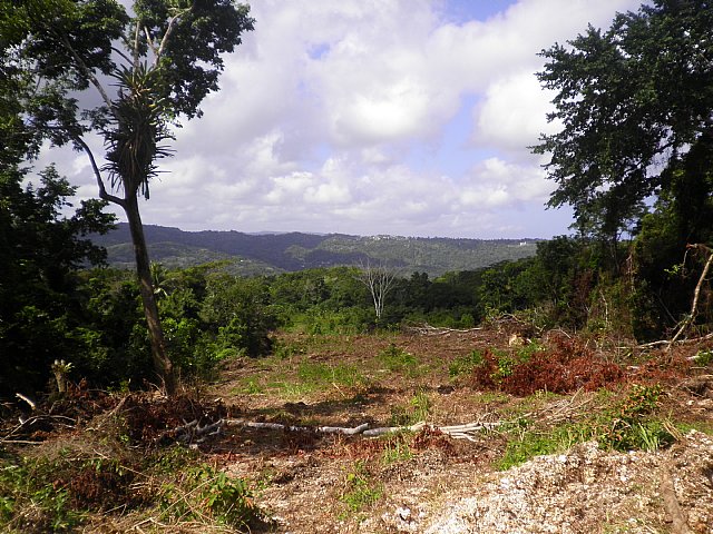 Residential lot For Sale in Mango Valley, St. Mary Jamaica ...