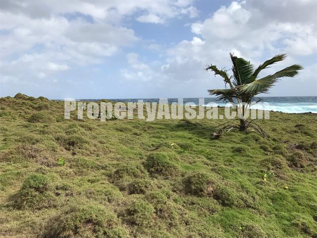 Residential lot For Sale in Fair Prospect, Portland Jamaica ...