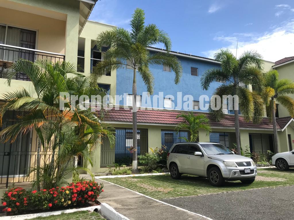 Apartment For Rent in Kingston 6, Kingston / St. Andrew Jamaica ...