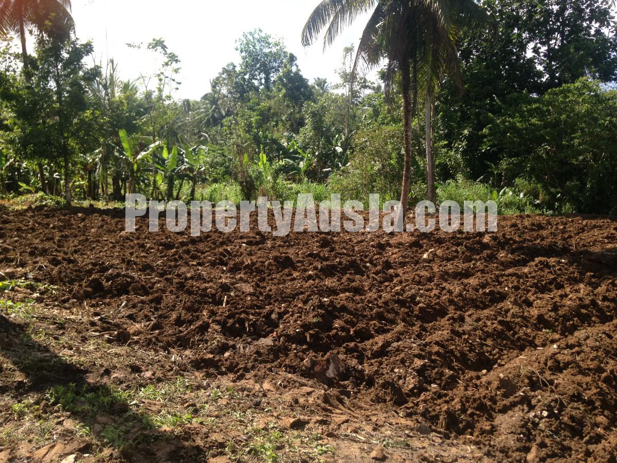 Commercial/farm land For Sale in Port Antonio, Portland Jamaica ...