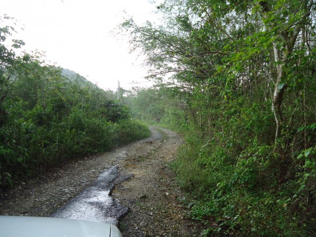 Residential lot For Sale in copse, Hanover Jamaica | PropertyAdsJa.com