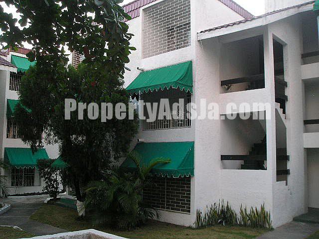 Apartment For Rent in Constant Spring, Kingston / St. Andrew Jamaica ...