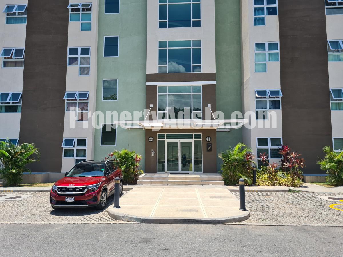 Apartment For Rent in Kingston 6, Kingston / St. Andrew Jamaica ...