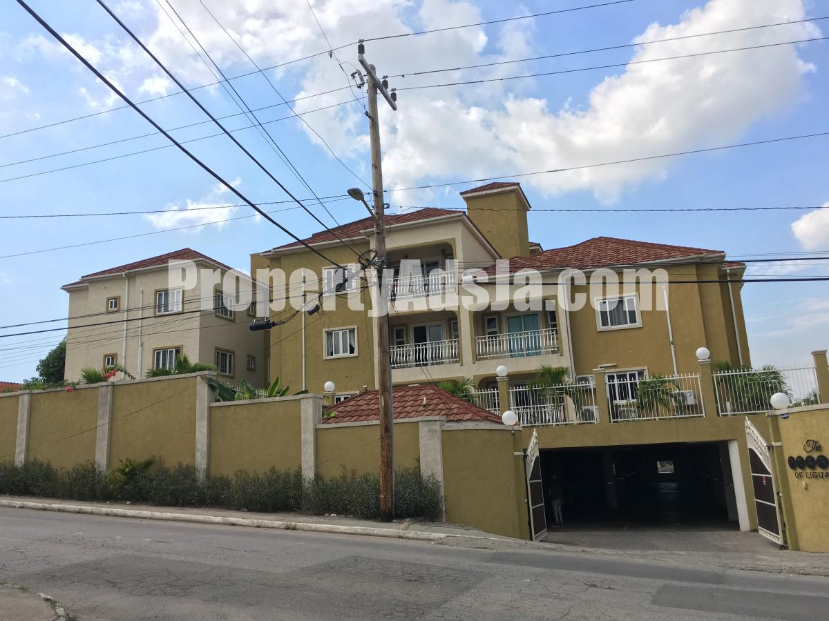 Apartment For Rent in KIngston 6, Kingston / St. Andrew Jamaica ...