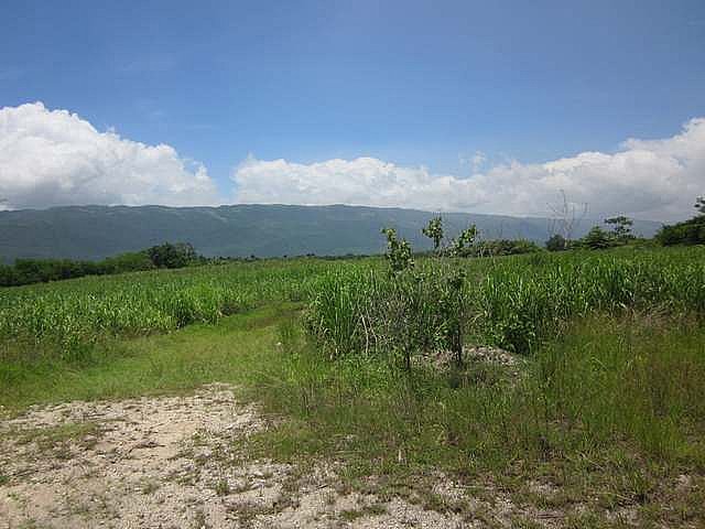 Commercial/farm land For Sale in Braes River, St. Elizabeth Jamaica ...
