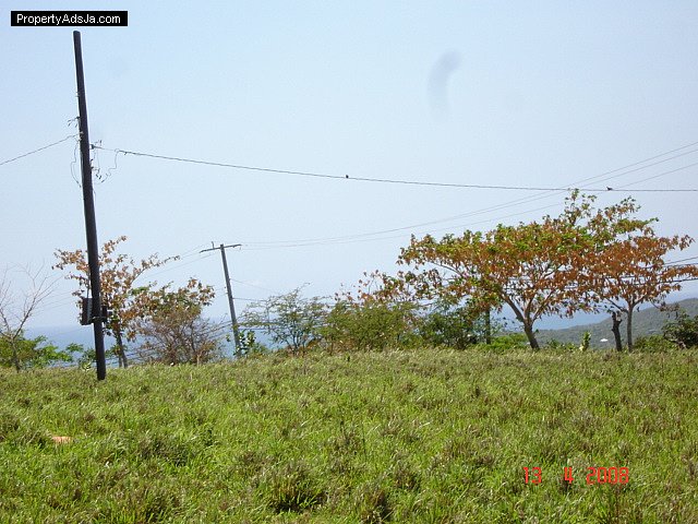 Commercial/farm land For Sale in Pedro Plains close to Treasure Beach ...