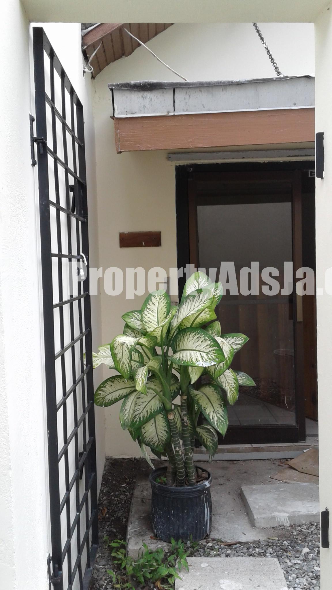 Commercial building For Rent in Half Way Tree, Kingston / St. Andrew ...