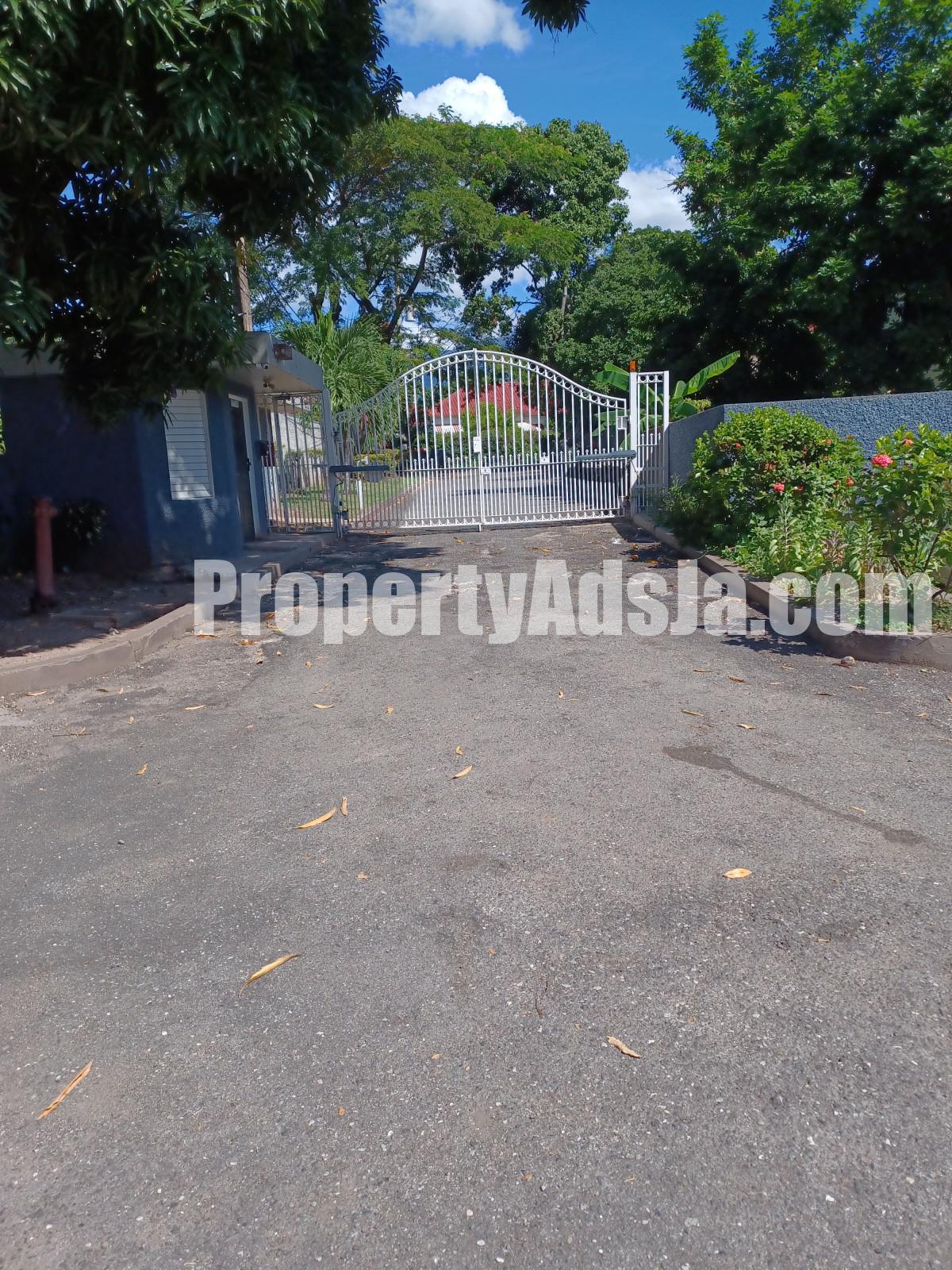 Apartment For Rent in Constant Spring, Kingston / St. Andrew Jamaica ...