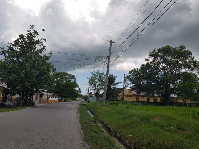 For Sale in Frome, Westmoreland Jamaica | PropertyAdsJa.com