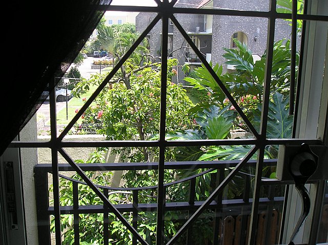 Apartment For Rent in Hope Road, Kingston / St. Andrew Jamaica ...