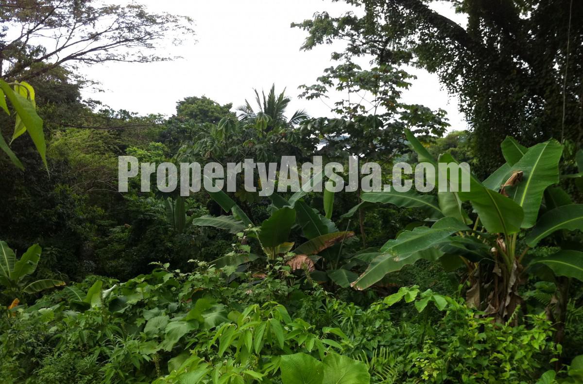 Residential lot For Sale in Hope Bay, Portland Jamaica | PropertyAdsJa.com