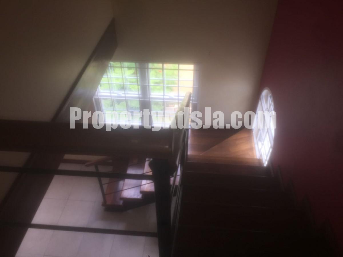 Apartment For Rent in Hope Road, Kingston / St. Andrew Jamaica | PropertyAdsJa.com