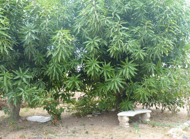 House For Sale in Magil Palms, St. Catherine Jamaica | PropertyAdsJa.com