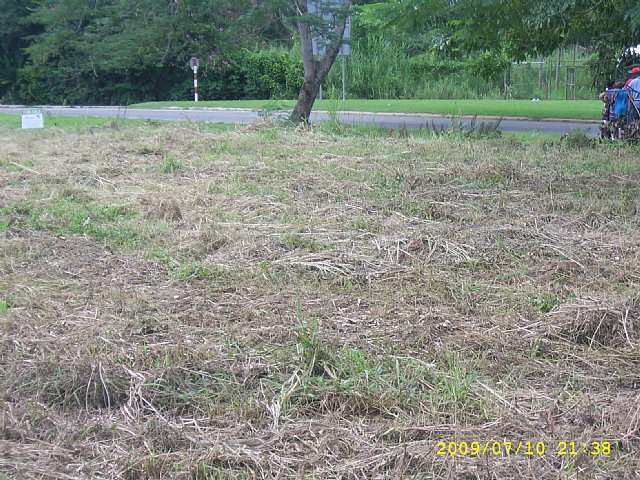 Commercial building For Sale in Bog Walk, St. Catherine Jamaica ...