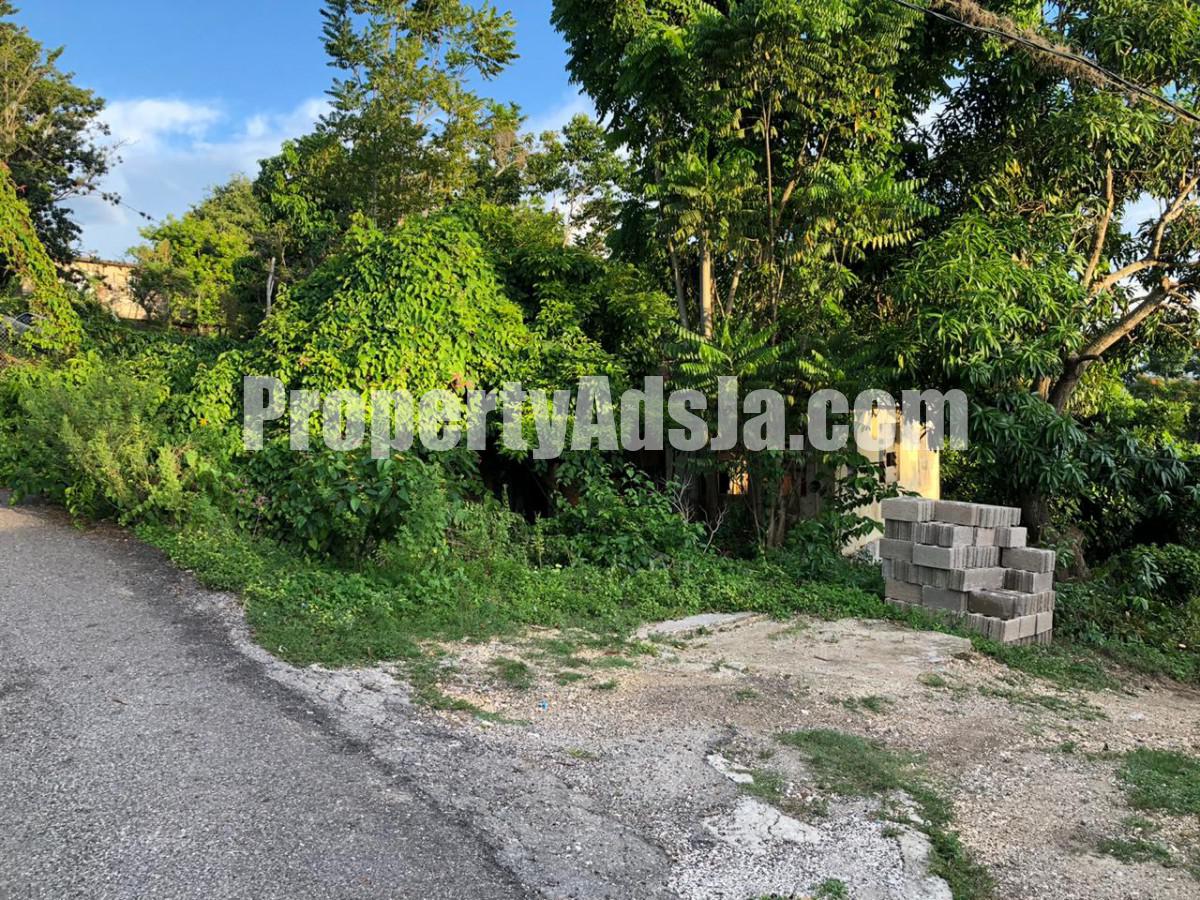 Residential lot For Sale in Salt Spring, St. James Jamaica ...