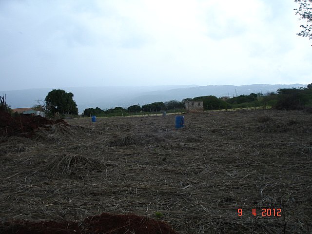 Commercial/farm land For Sale in Pedro Plains close to Treasure Beach ...