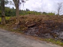 Residential lot For Sale in Ginger Hill, St. Elizabeth Jamaica ...