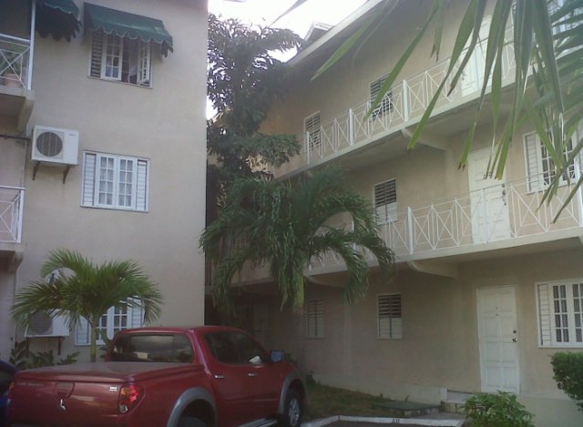 Apartment For Rent in Hope Road and Halfway Tree Road, Kingston / St. Andrew Jamaica ...