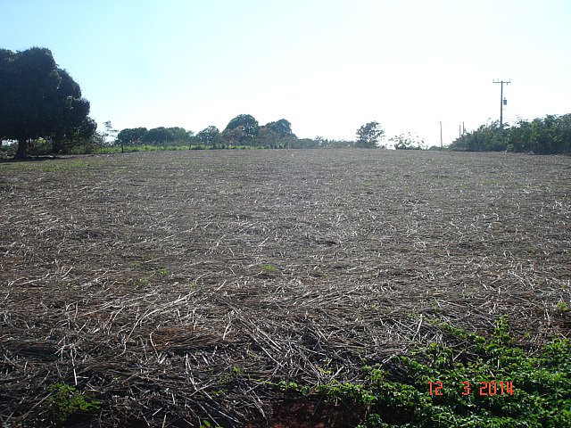 Residential lot For Sale in Pedro Plains, St. Elizabeth Jamaica ...