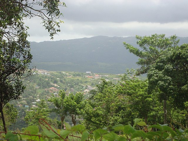 Residential lot For Sale in Georges Valley, Manchester Jamaica ...