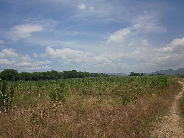 Commercial/farm land For Sale in Braes River, St. Elizabeth Jamaica ...