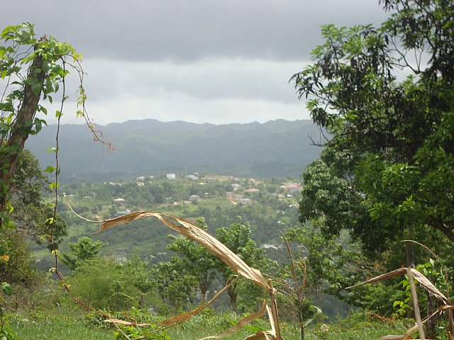 Residential lot For Sale in Georges Valley, Manchester Jamaica ...