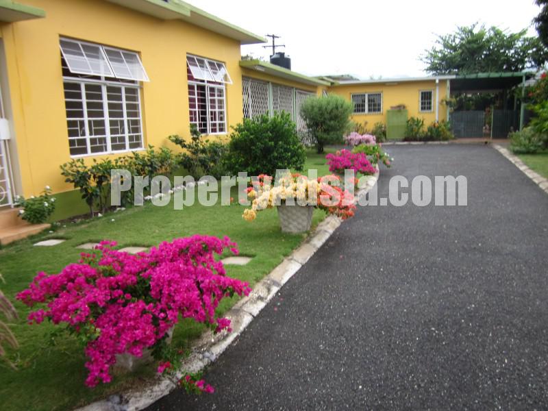 Flat For Rent in Constant Spring, Kingston / St. Andrew Jamaica ...