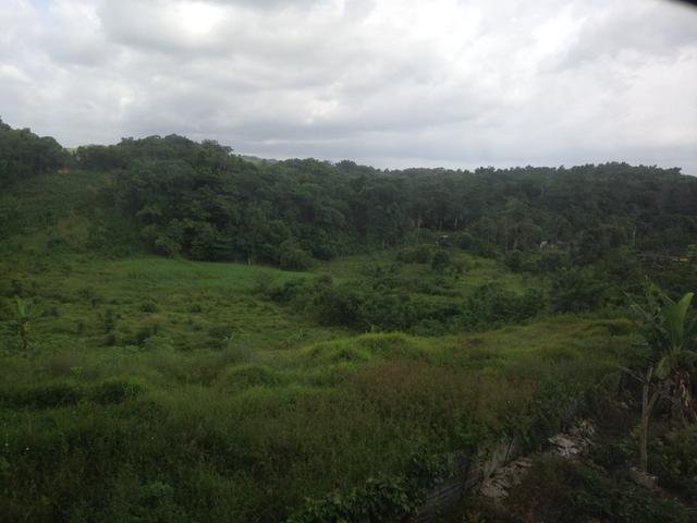 House For Sale in Harding Hall, Hanover Jamaica | PropertyAdsJa.com
