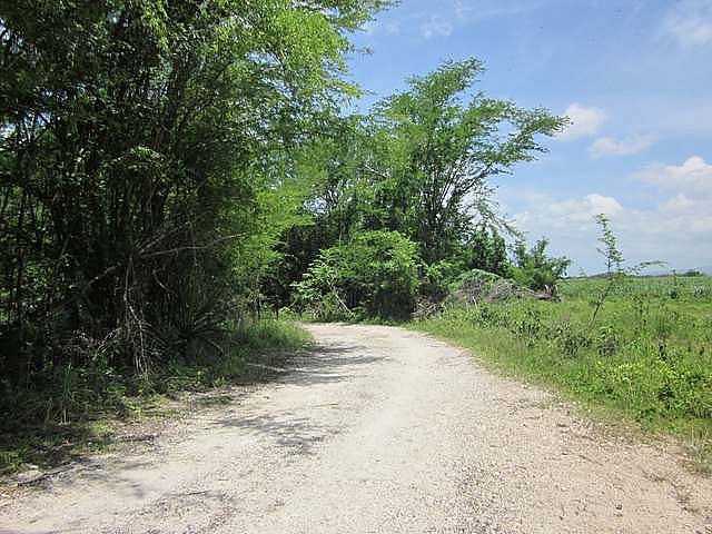 Commercial/farm land For Sale in Braes River, St. Elizabeth Jamaica ...