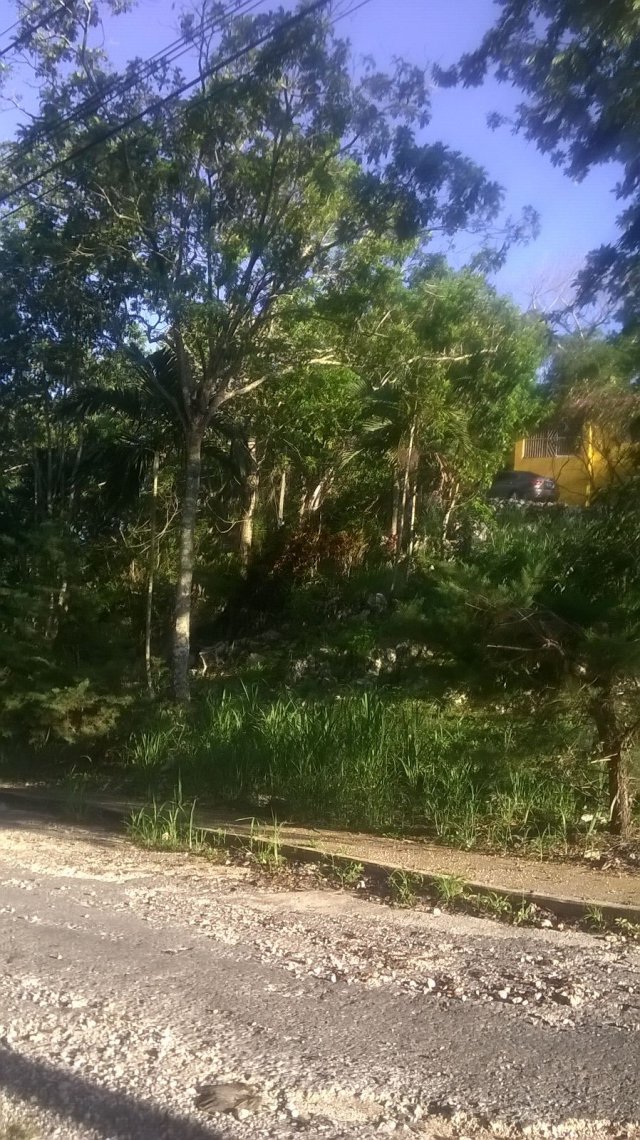 Residential lot For Sale in Swain Spring Rise, Kingston / St. Andrew ...