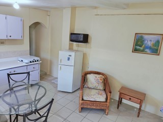 Flat For Rent in Kingston 6, Kingston / St. Andrew Jamaica ...
