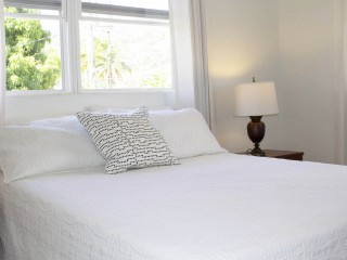 Apartment For Rent in The Valhalla Graham Heights, Kingston / St ...