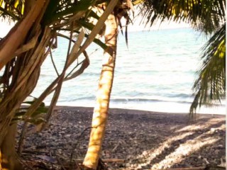 House For Rent in Hope Bay Beach, Portland Jamaica | PropertyAdsJa.com