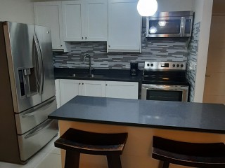 Apartment For Rent in New Kingston, Kingston / St. Andrew Jamaica ...