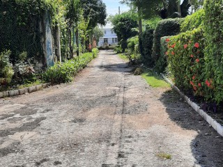 Apartment For Rent in Hope Road, Kingston / St. Andrew Jamaica | PropertyAdsJa.com